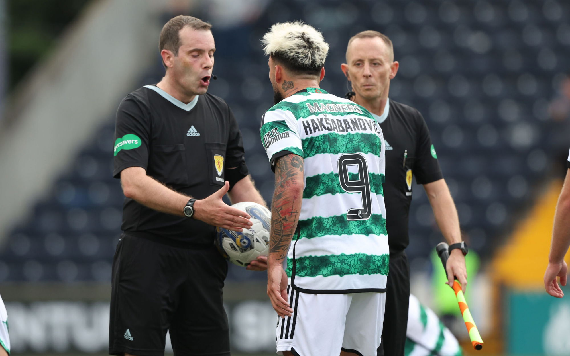 Alan Muir- the evidence mounts up | videocelts.com